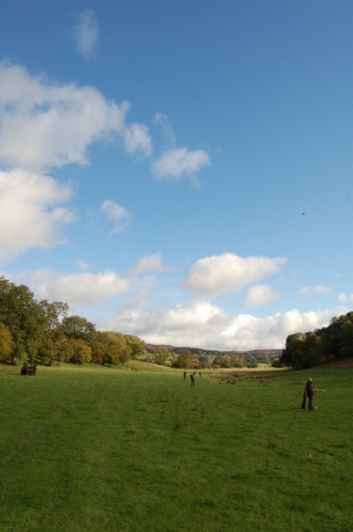 A Day to Remember at Bodidris Shoot - GunsOnPegs