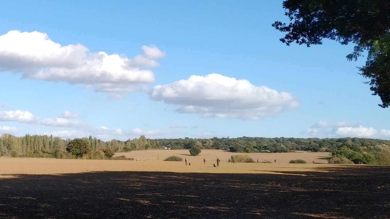 Hammonds Farm Shoot, Essex - Availability on GunsOnPegs