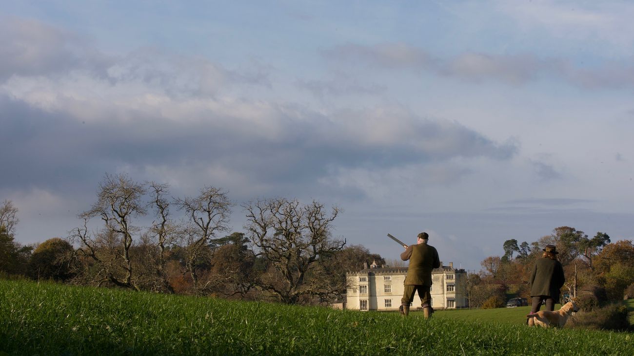 Great Fulford Estate Shoot, Devon - Availability on GunsOnPegs