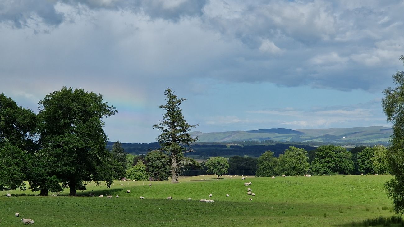 Braco castle estate , Perthshire - Availability on GunsOnPegs