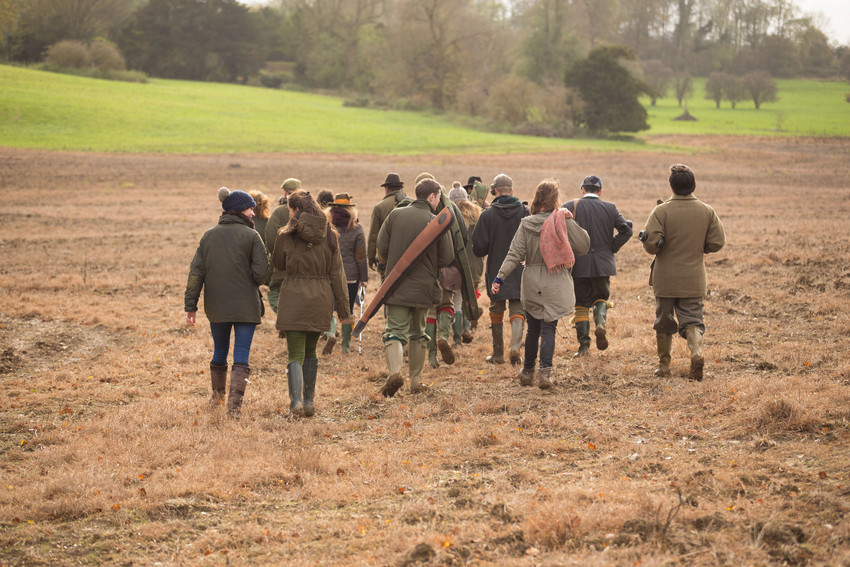 Driven Shooting Available - GunsOnPegs Classifieds | GunsOnPegs