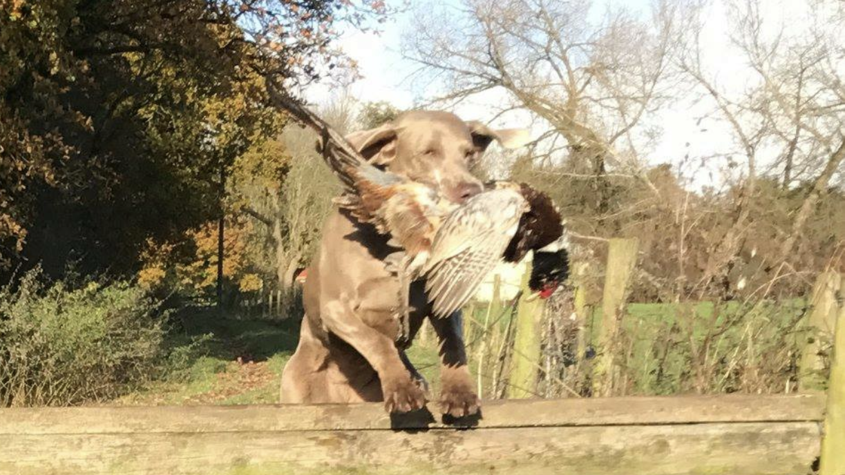Stanthorne Hall Estate Cheshire Availability On Gunsonpegs