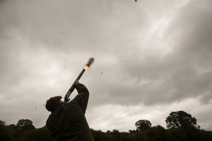 Llanforda Shoot, Shropshire - Availability on GunsOnPegs