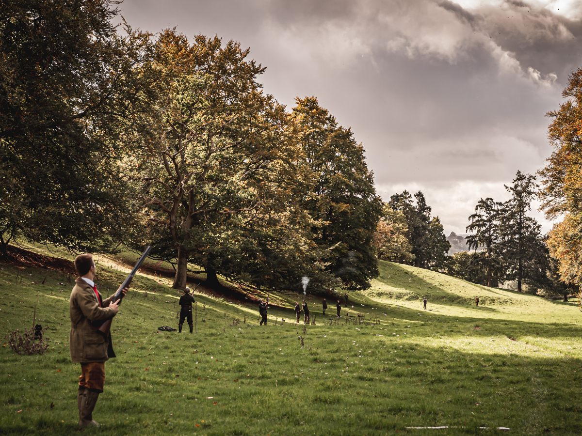 Shooting In Context : Frequently Asked Questions - GunsOnPegs