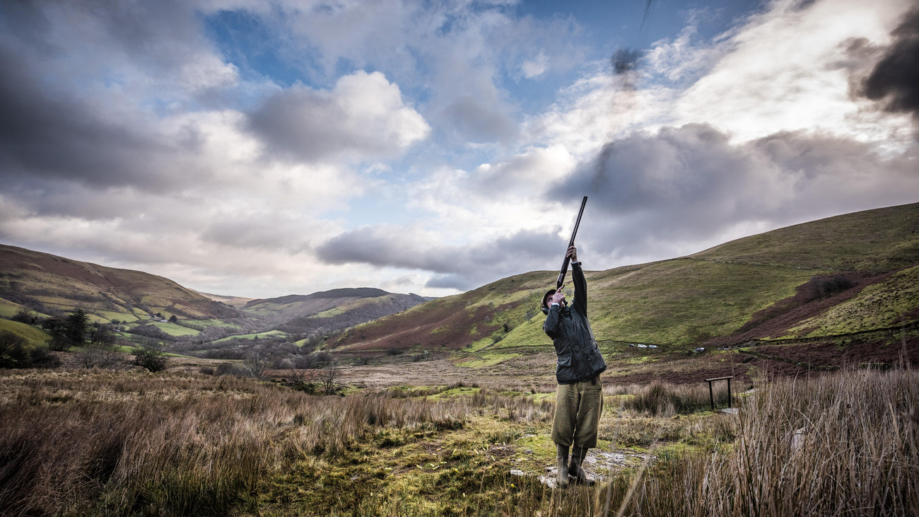 Brigands - Bettws Hall, Powys - Availability on GunsOnPegs