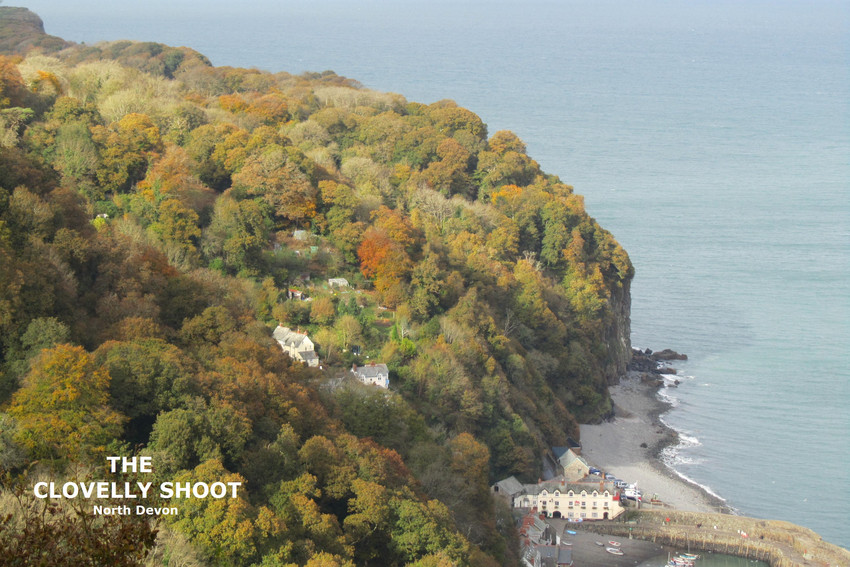 Driven Shooting Available - GunsOnPegs Classifieds