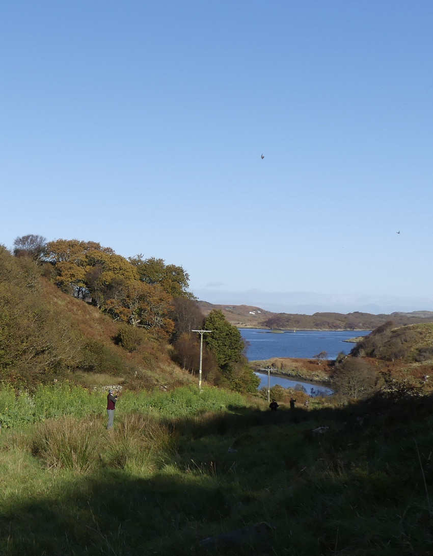 Isle of Luing Shoot, Argyll & Bute - Availability on GunsOnPegs