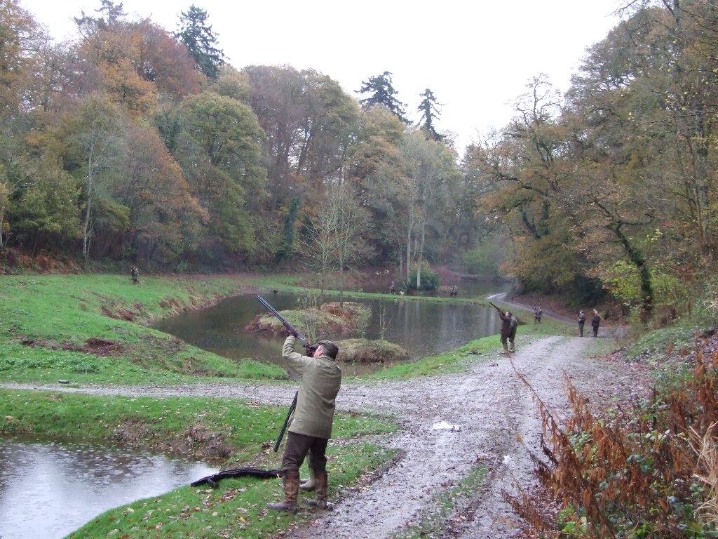 Vaynor Park - Bettws Hall, Powys - Pheasant, Partridge | GunsOnPegs