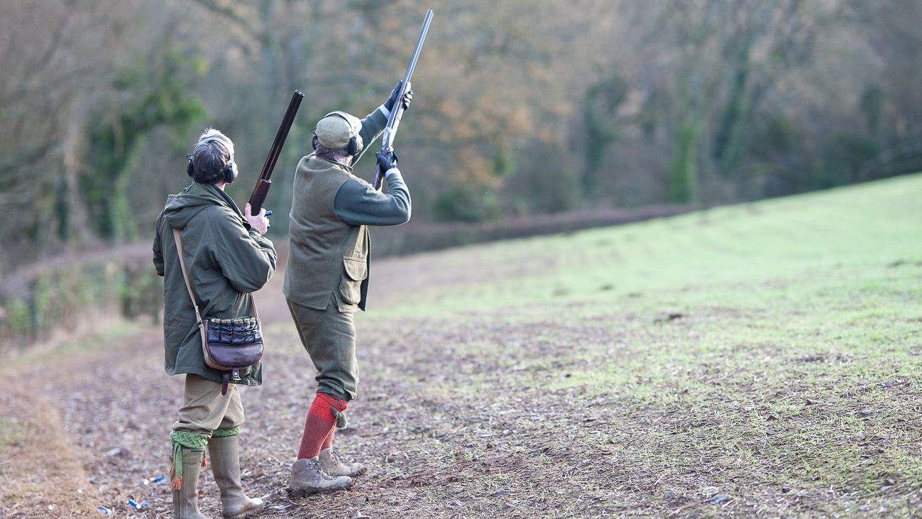 Great Fulford Estate Shoot, Devon - Availability on GunsOnPegs