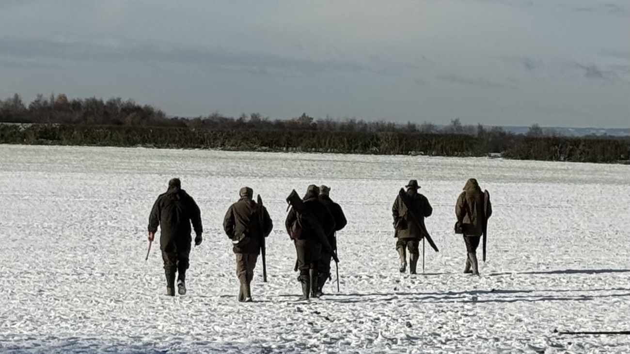 Partridge shooting in Leicestershire - Shoots & Availability on GunsOnPegs
