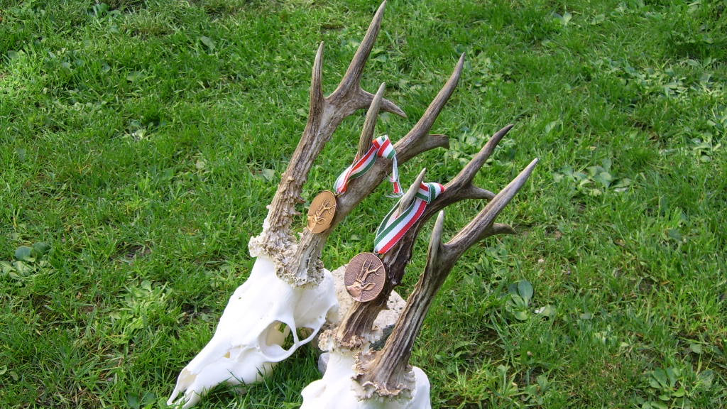 Mid Cornwall Deer Stalking, Cornwall - Availability on GunsOnPegs