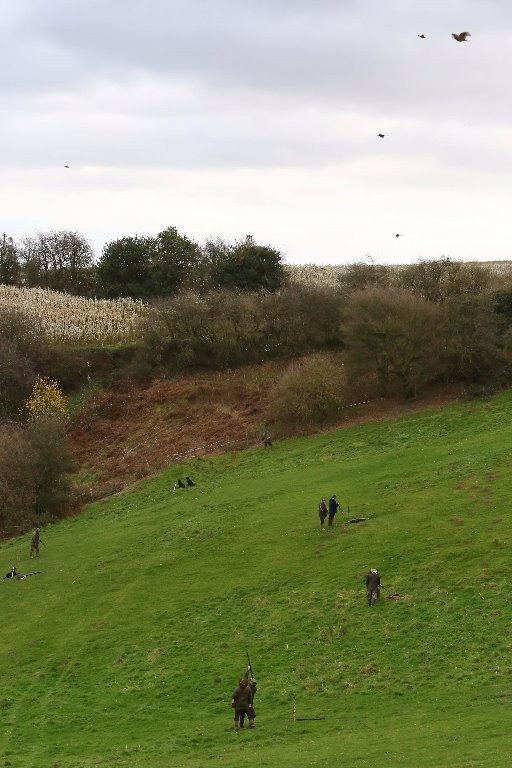 Shoot Review: Stoke Edith, Herefordshire - GunsOnPegs