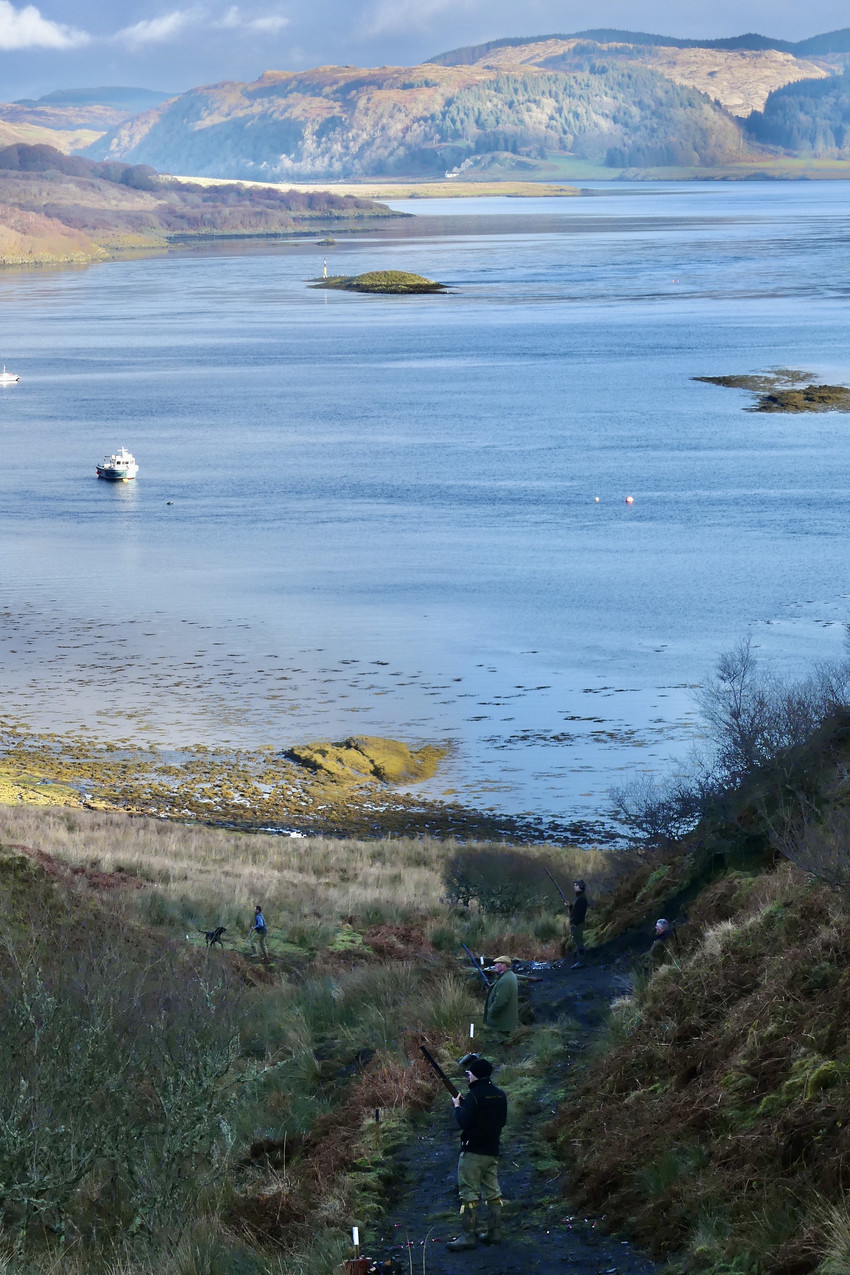 Isle of Luing Shoot, Argyll & Bute - Availability on GunsOnPegs