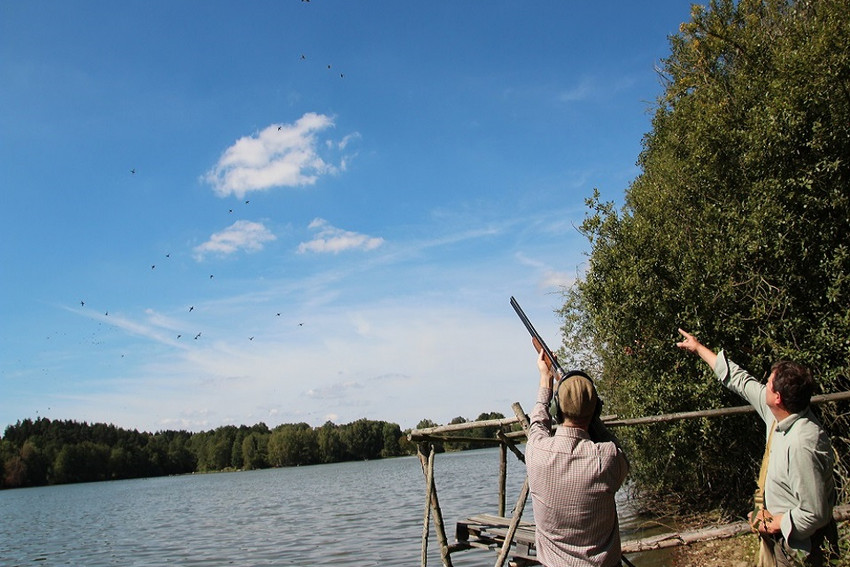 Driven Shooting Available - GunsOnPegs Classifieds