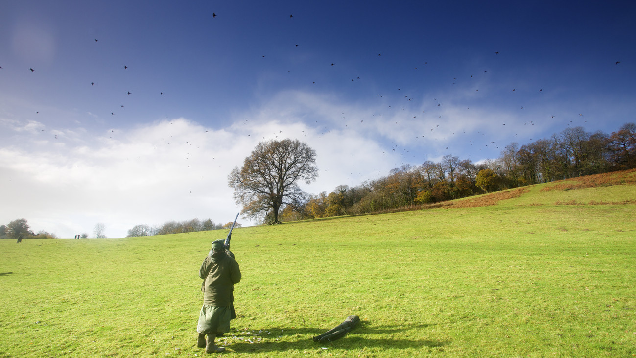 Roxtons, Berkshire - Availability on GunsOnPegs