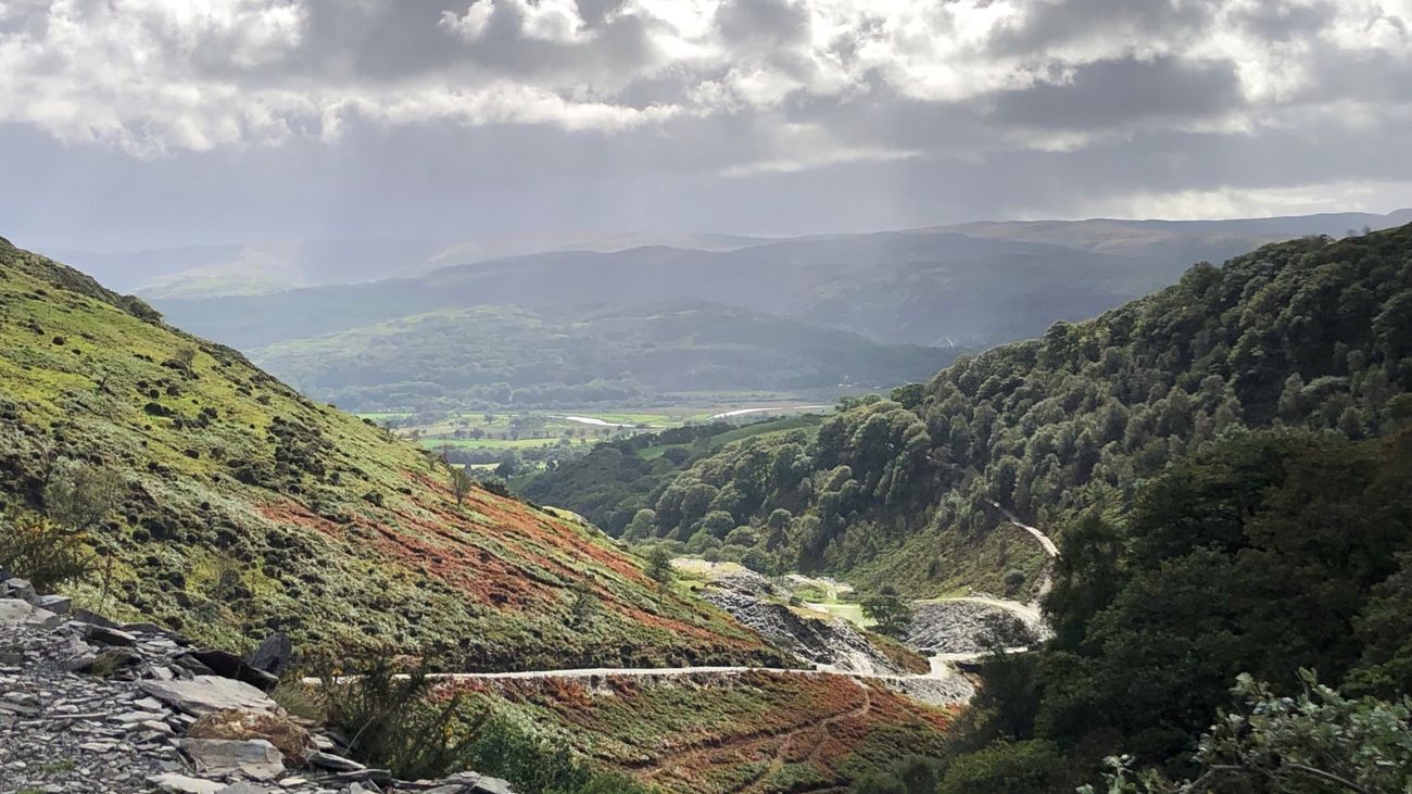 Pennal, Powys - Availability on GunsOnPegs