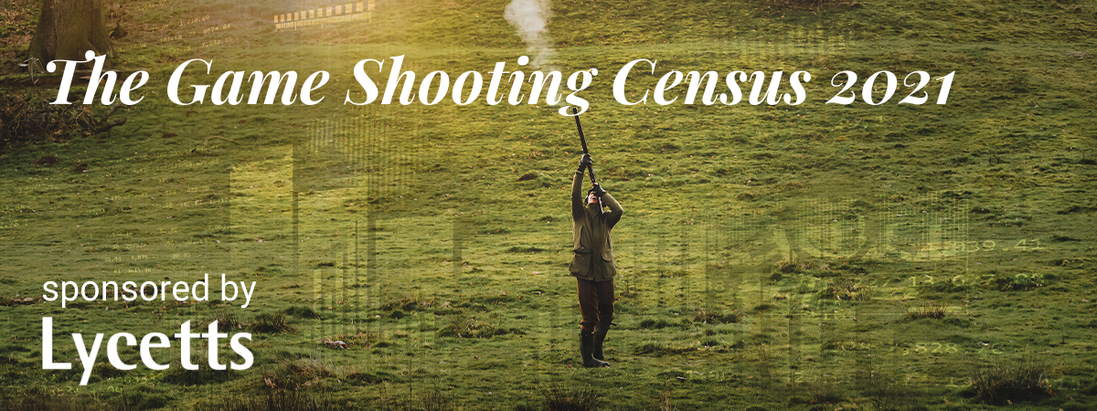 Who are the game shots? - GunsOnPegs