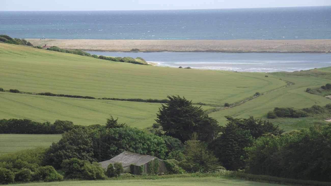 Higher Farm Shoot, Dorset - Availability on GunsOnPegs