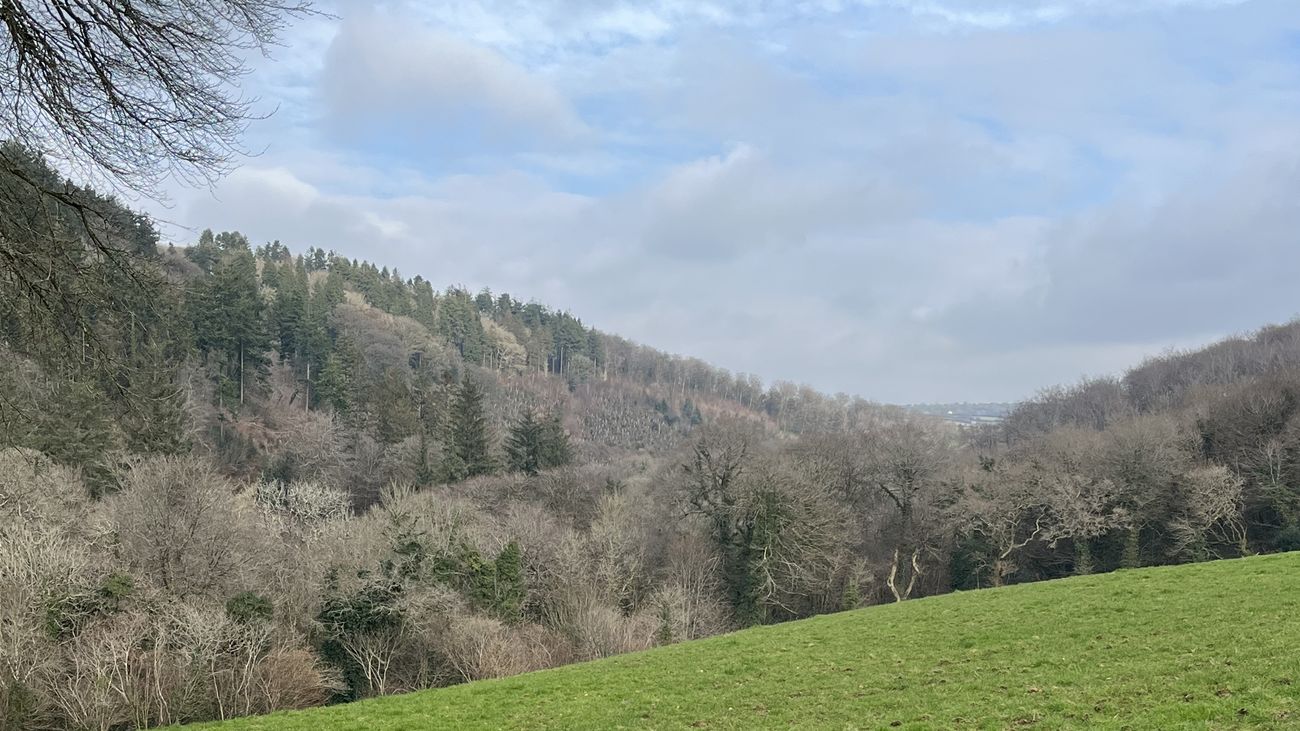 KSD, Cornwall - Availability on GunsOnPegs