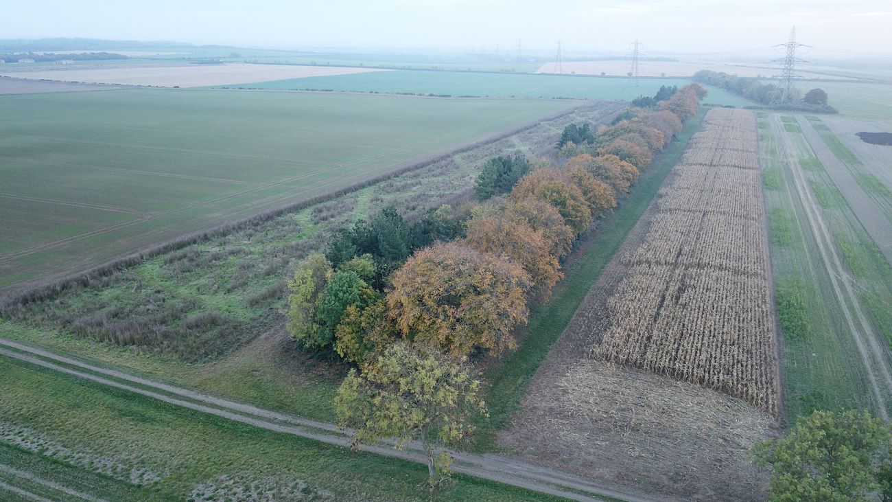 The Swaffham Prior Shoot, Cambridgeshire - Availability on GunsOnPegs