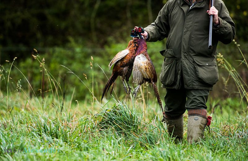 A1 Decoy UK Game Shooting, Avon - Availability on GunsOnPegs