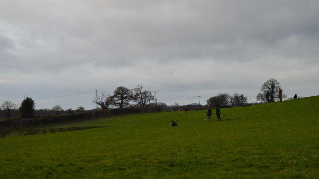 High Hatton Hall, Shropshire - Availability on GunsOnPegs