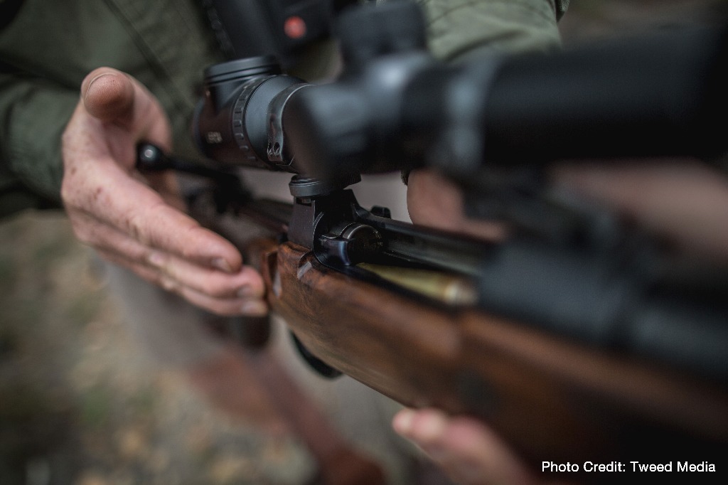 Top Tips for Zeroing a Rifle - GunsOnPegs