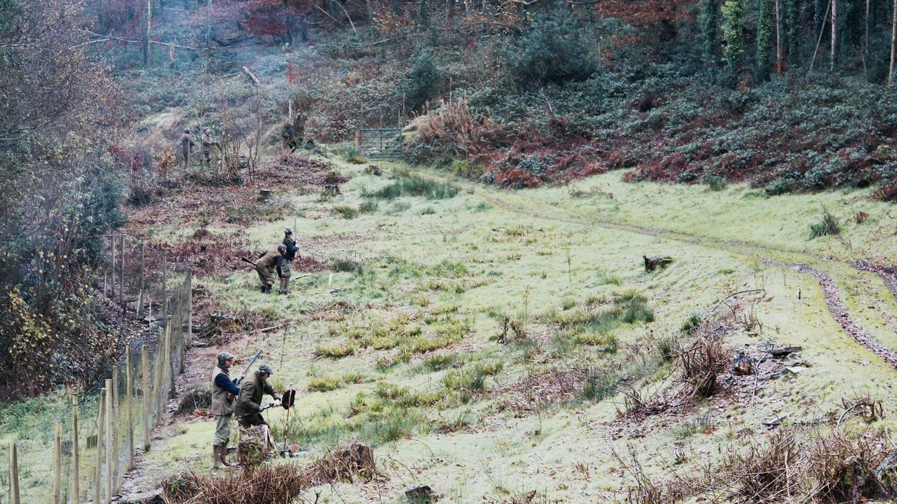 Great Warham Shoot, Devon - Availability on GunsOnPegs