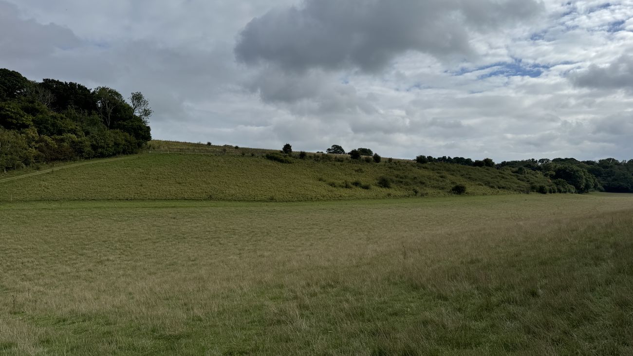 Game shooting in Kent - Shoots & Availability on GunsOnPegs