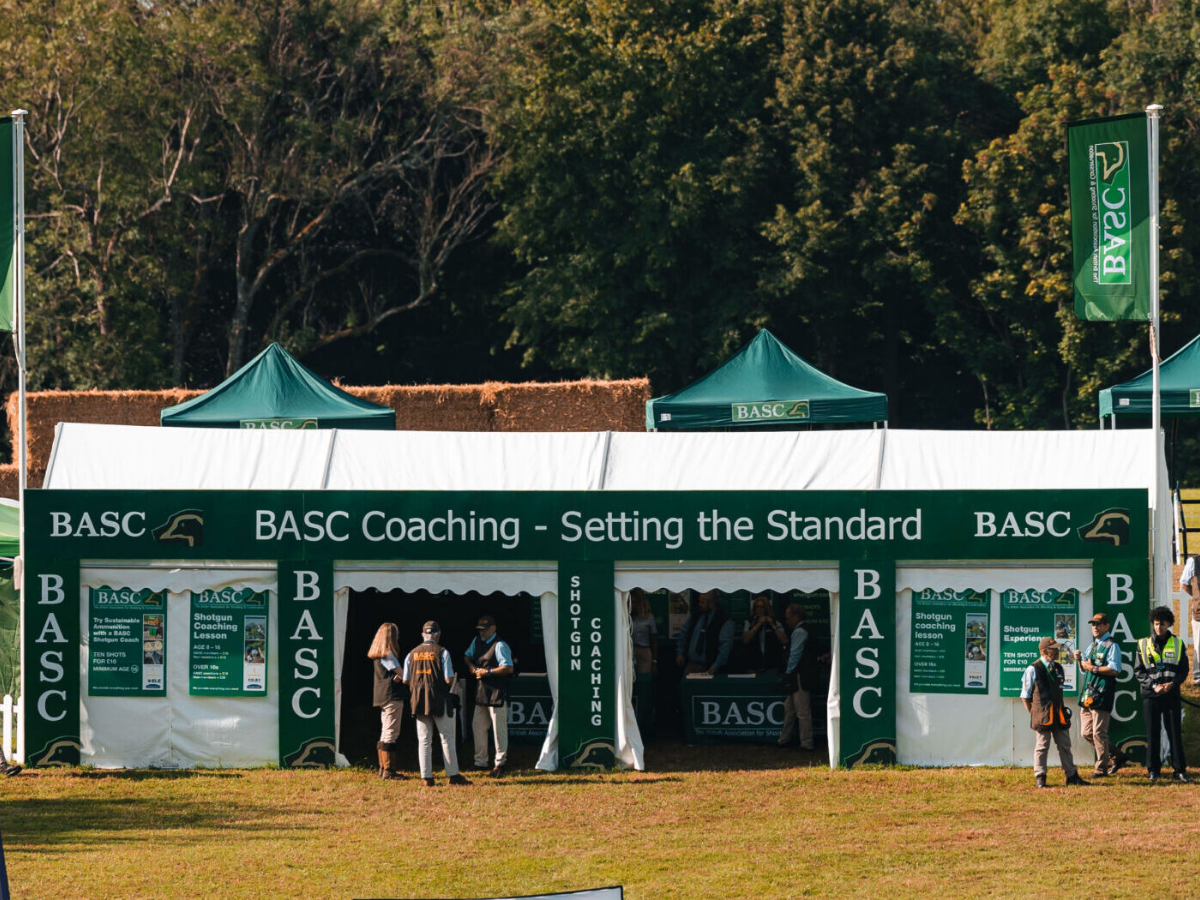 9 Must-See Brands at The Game Fair 2025 - GunsOnPegs