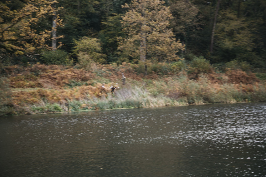 Mells Park, Mells, Somerset - Availability on GunsOnPegs