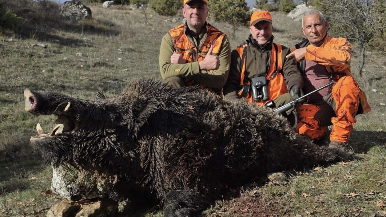 Turkish Driven Boar, Turkey - Availability on GunsOnPegs