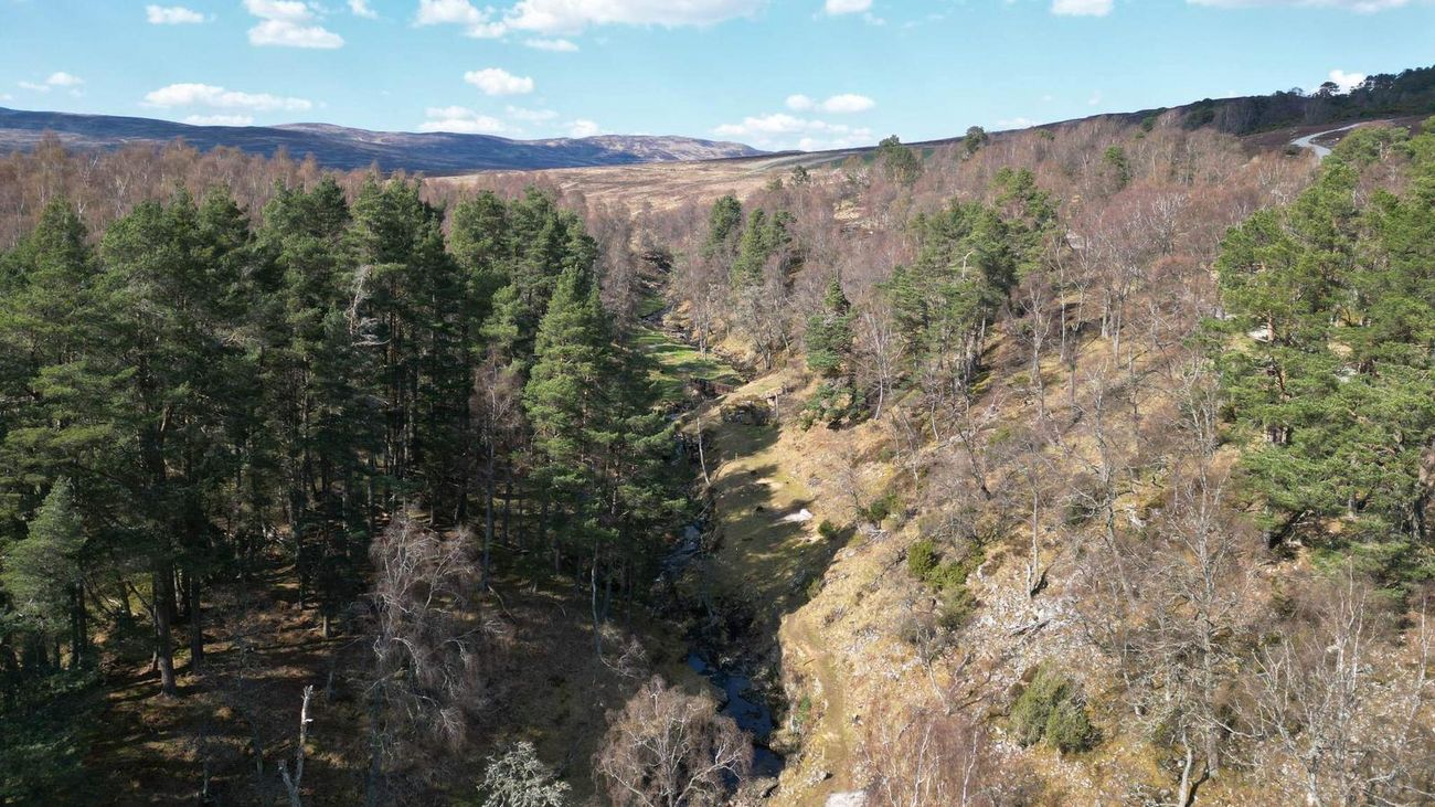 Balavil Estate , Inverness-shire - Availability on GunsOnPegs
