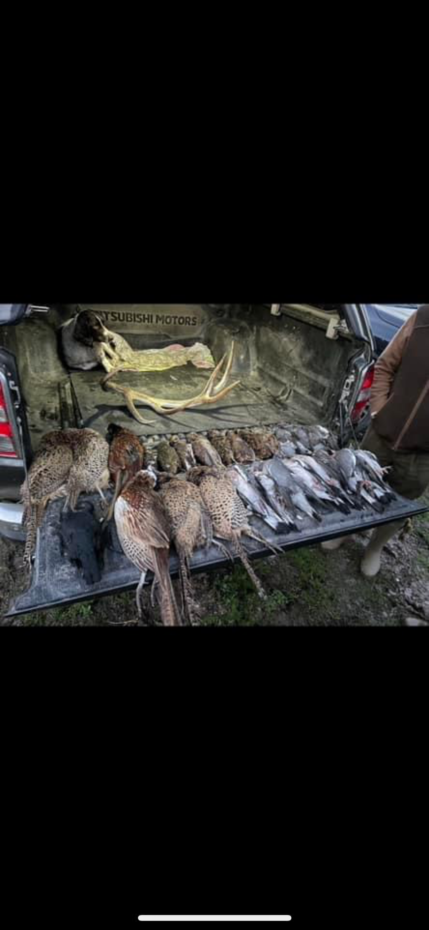 KSD, Cornwall - Availability on GunsOnPegs