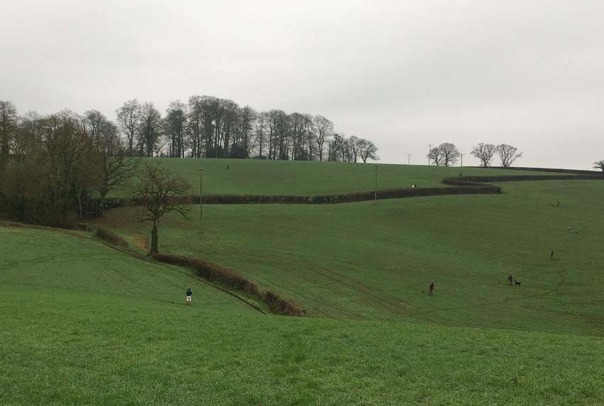 Great Fulford Estate Shoot, Devon - Availability on GunsOnPegs