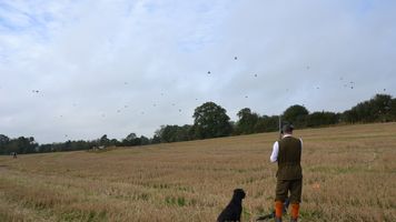 Dynes Hall , Essex - Availability on GunsOnPegs