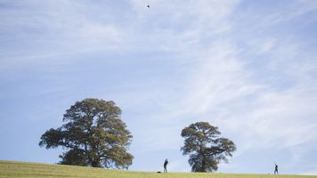 Ashcombe Estate, Devon - Availability on GunsOnPegs