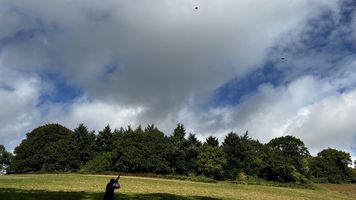 The Winscombe Shoot, Dorset - Availability on GunsOnPegs